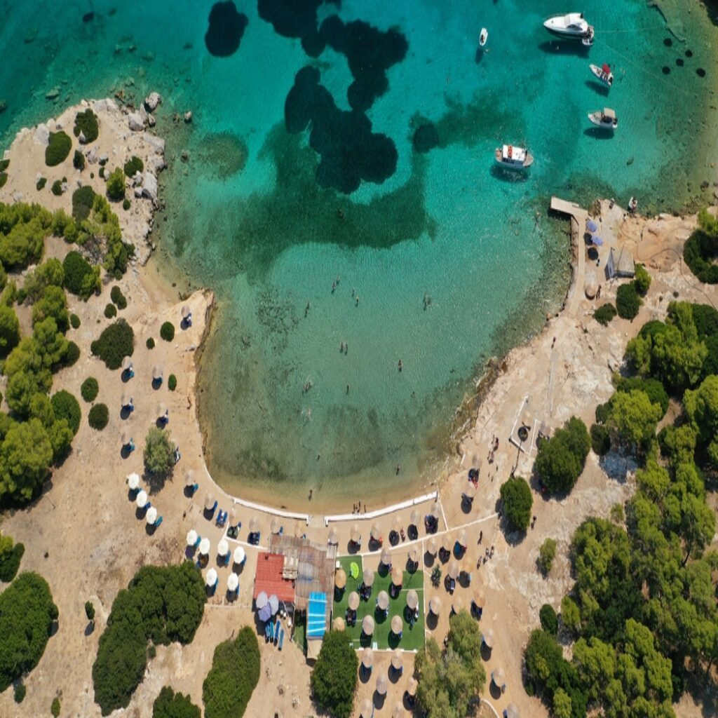 Moni Island - Traveler